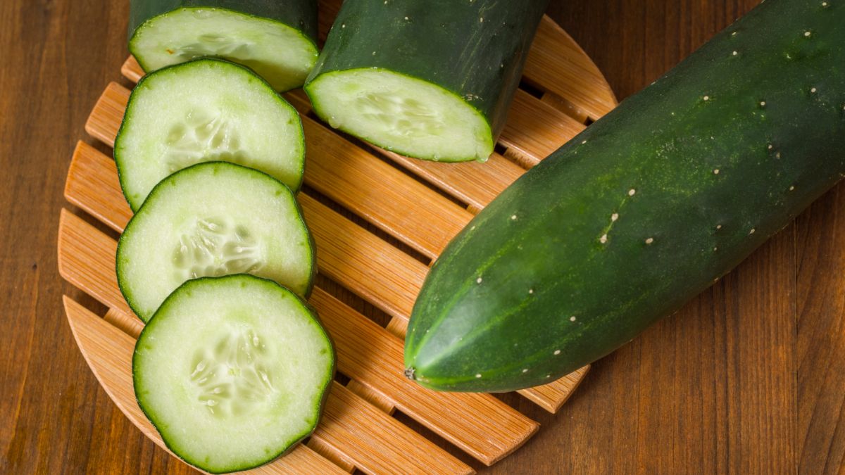 Manfaat Timun Dalam Tradisional Dan Perawatan Healthy 2024
